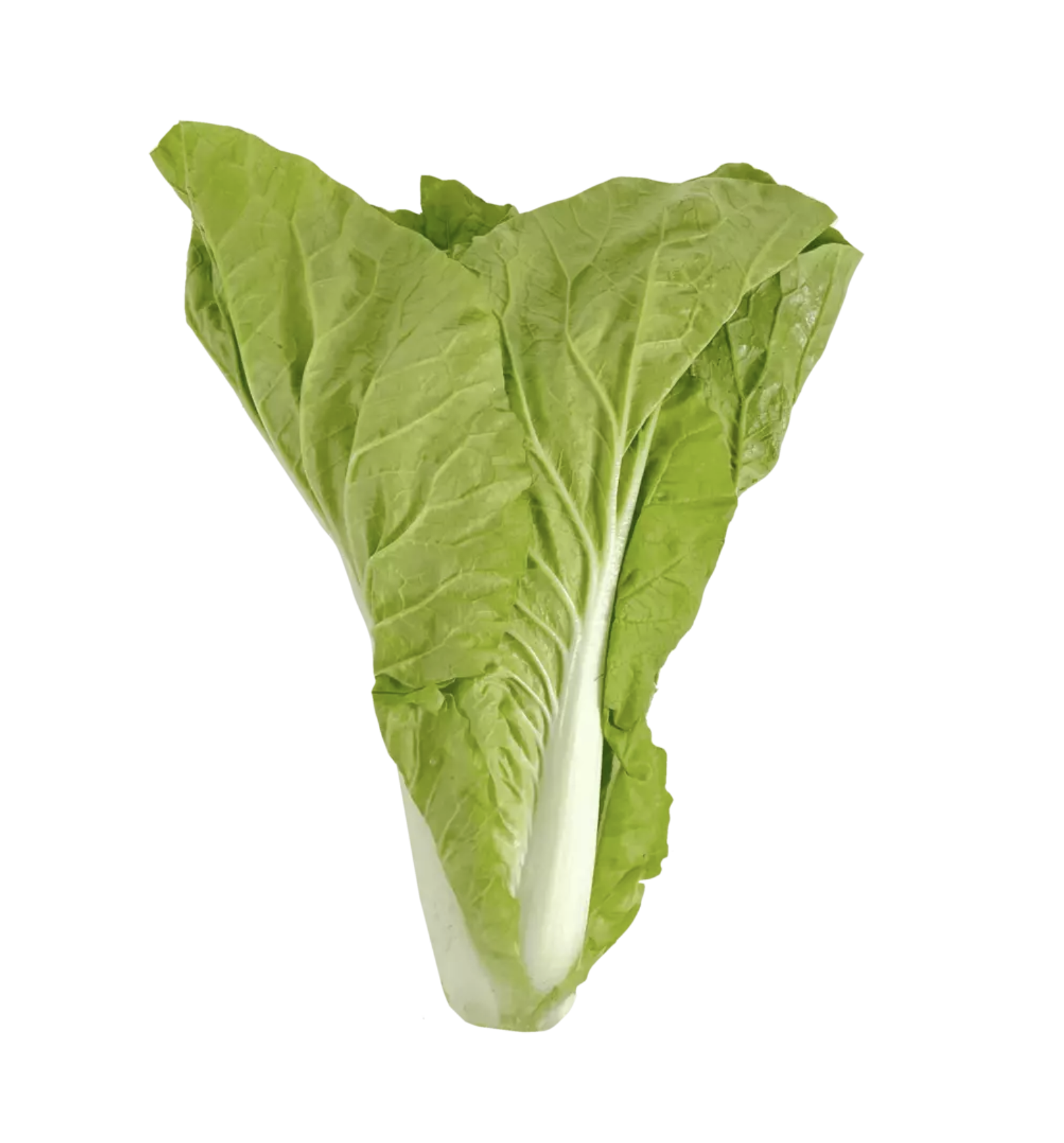 Mini Choi ca400-500g/förpackning