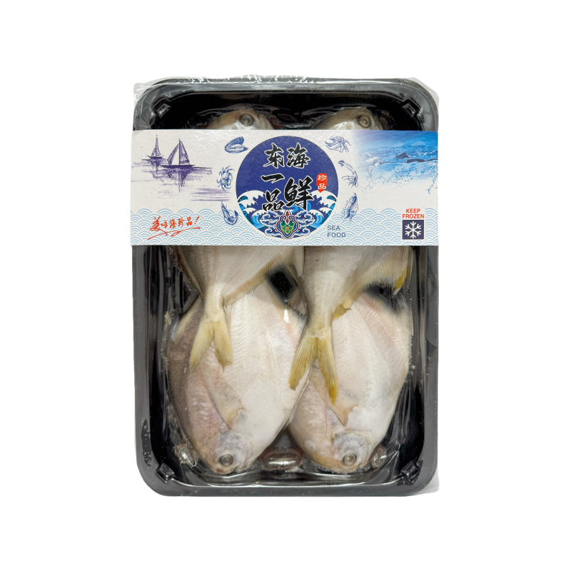 Silver Pomfret Frozen ca 450g China