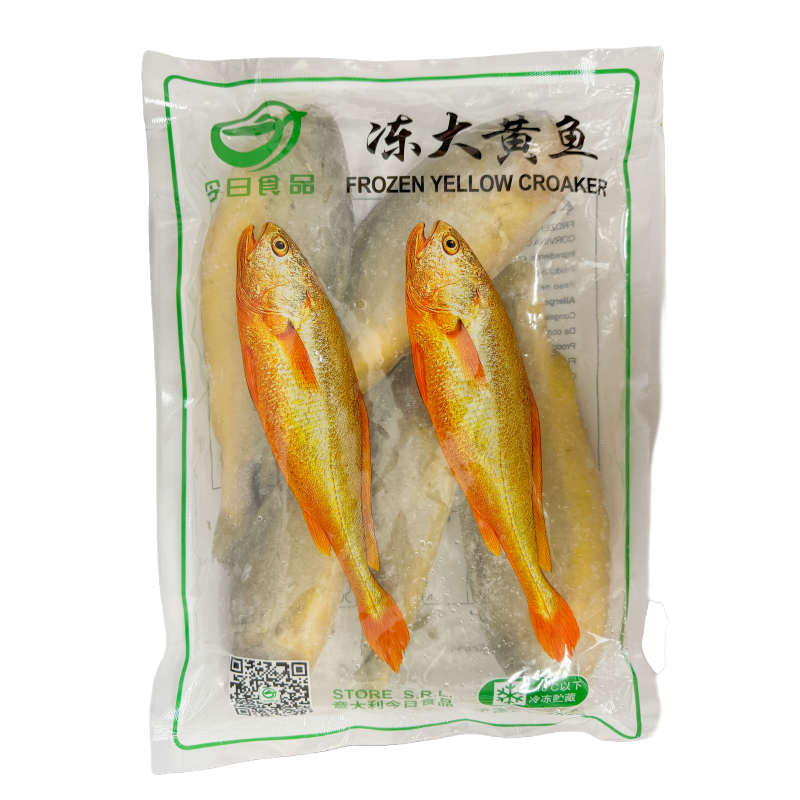 Yellow Croaker Fish